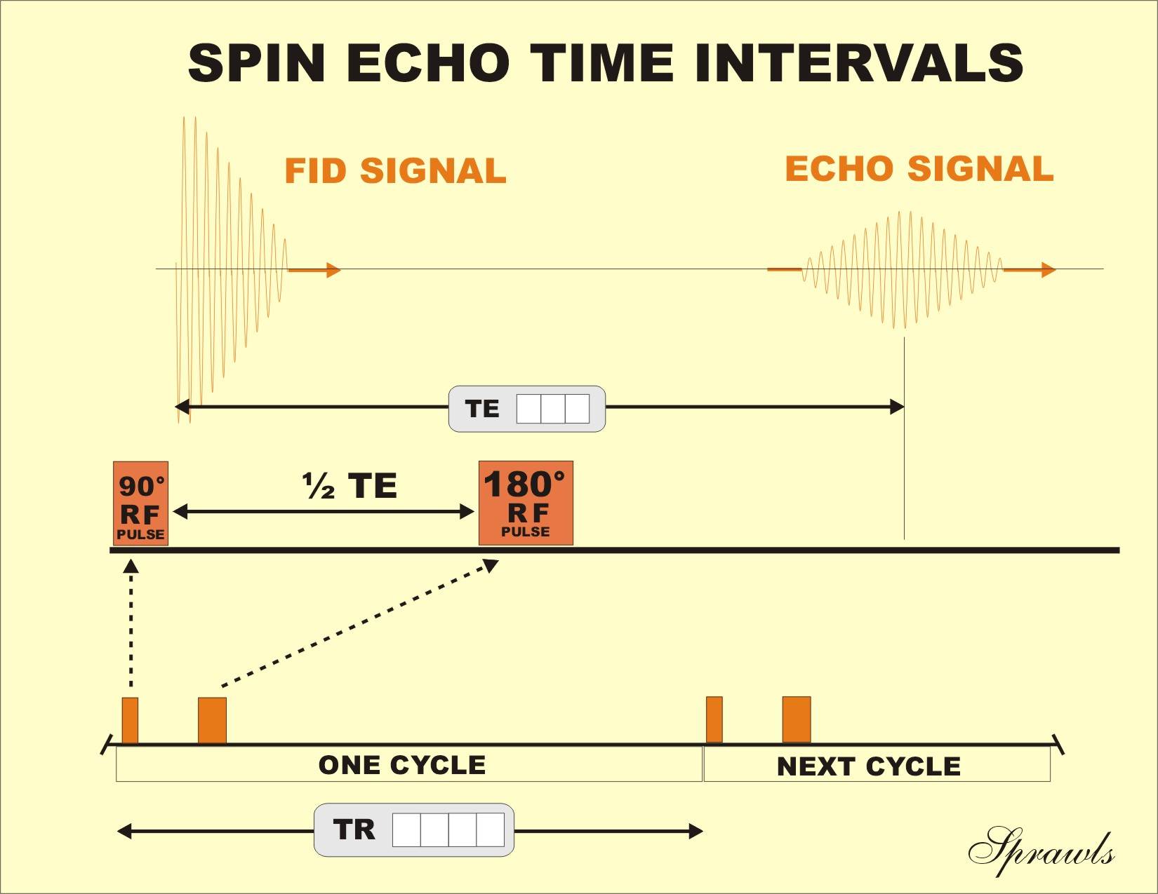 Inversion Recovery Spin Echo Pulse Sequence